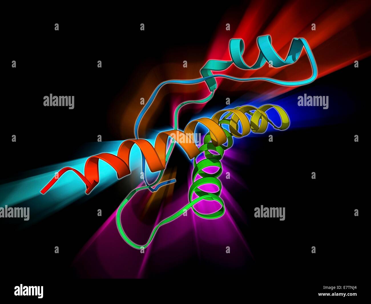La protéine prion humaine, le modèle moléculaire. Les prions sont des ...