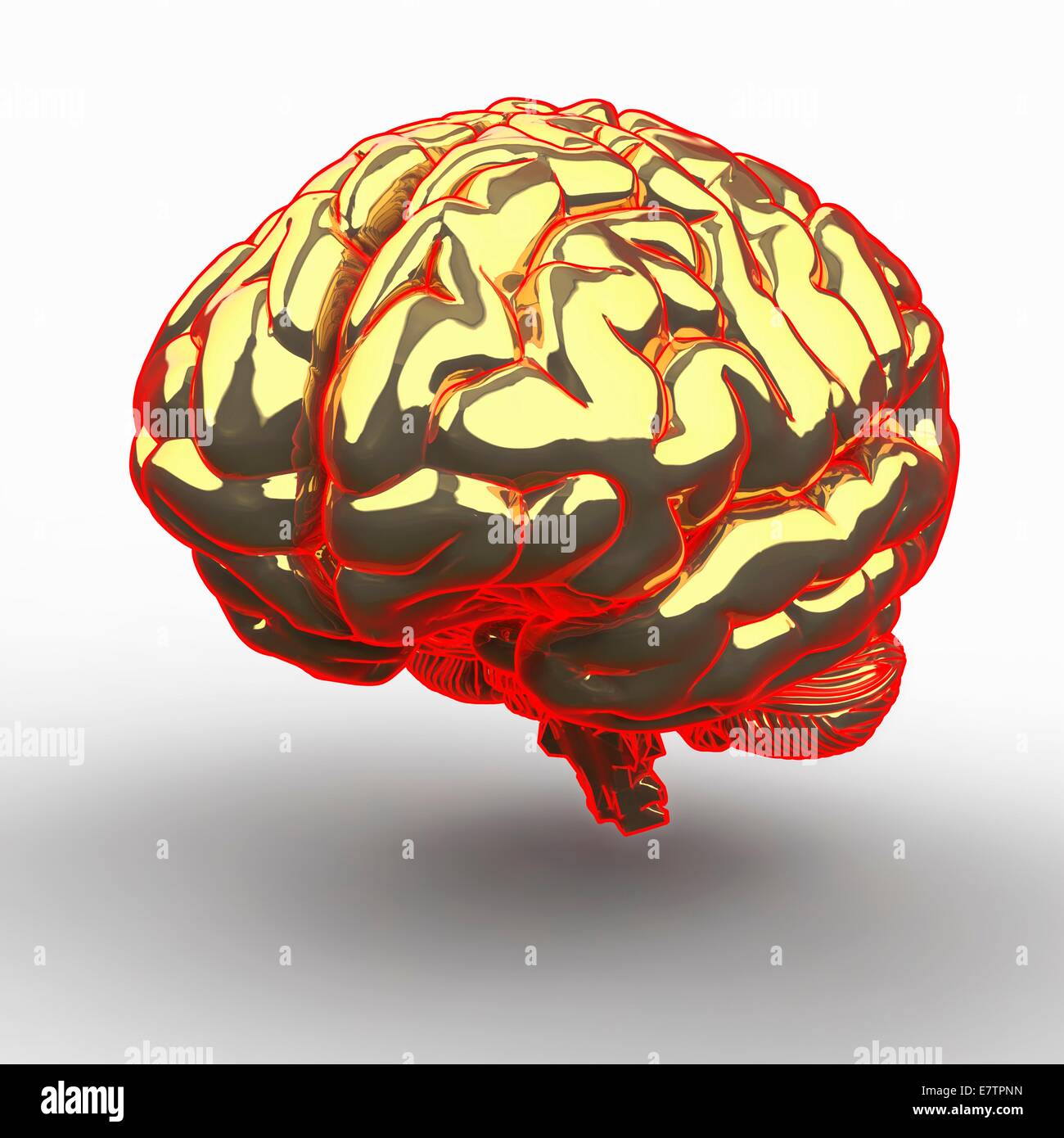 Gold brain Banque de photographies et d’images à haute résolution - Alamy