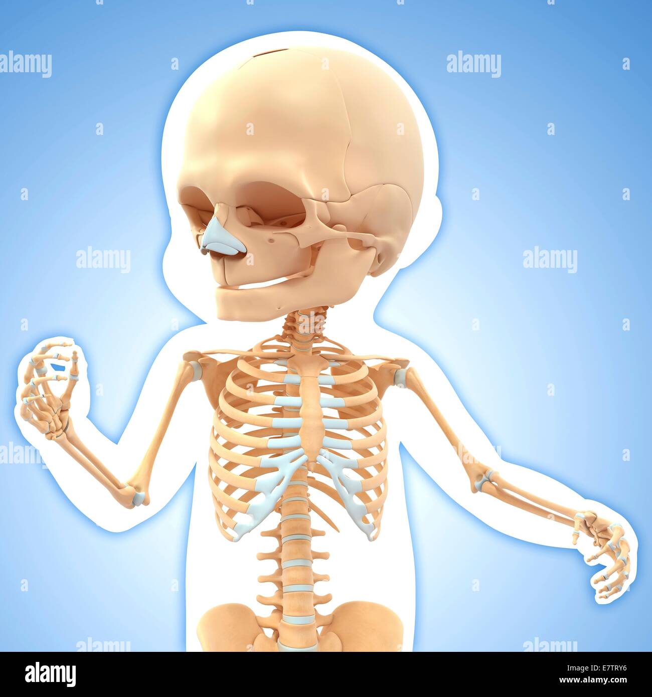 Baby crane Banque de photographies et d’images à haute résolution - Alamy