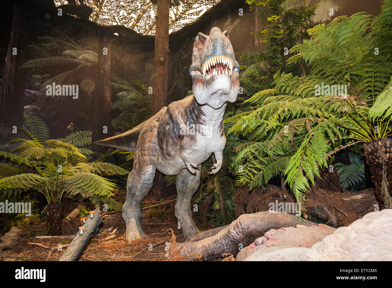 Animatronic dinosaurs Banque de photographies et d’images à haute ...