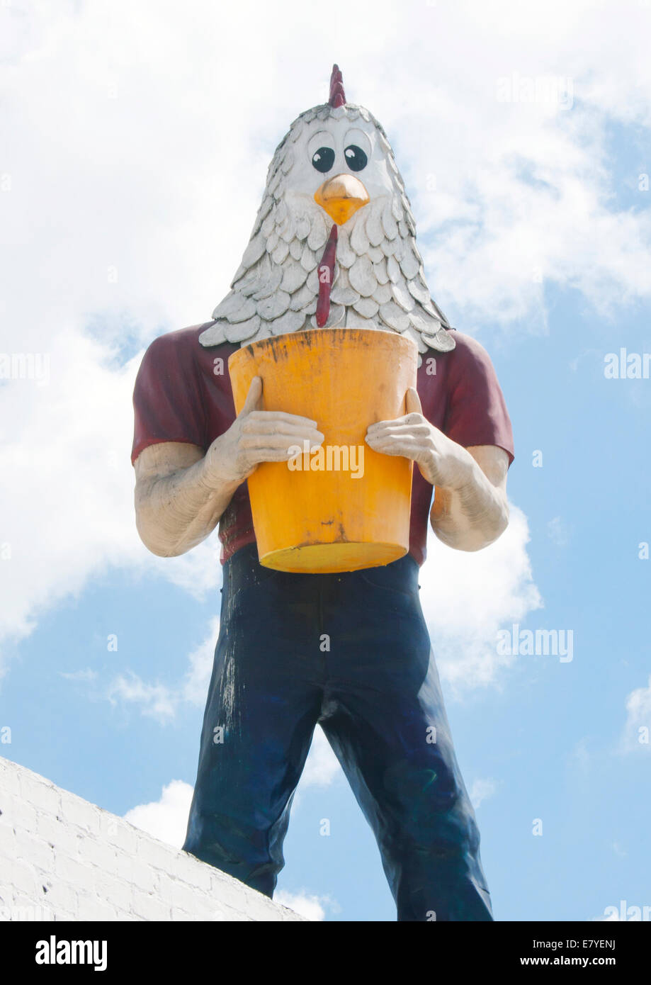 Homme de poulet Banque de photographies et d’images à haute résolution ...