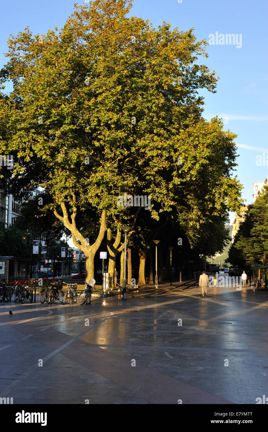 Boulevard route Banque de photographies et d’images à haute résolution ...