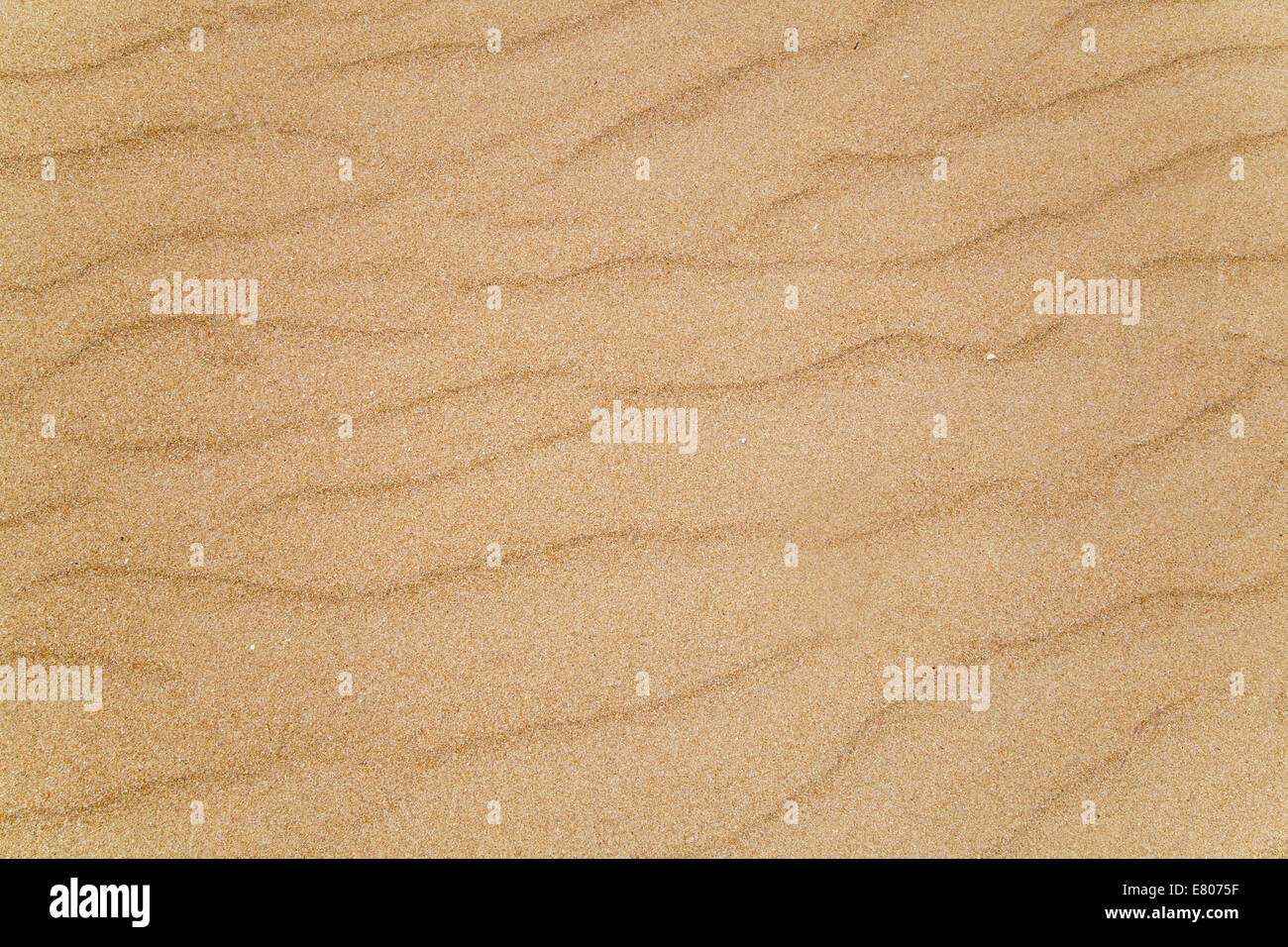 Dune de sable beige clair Banque de photographies et d’images à haute ...