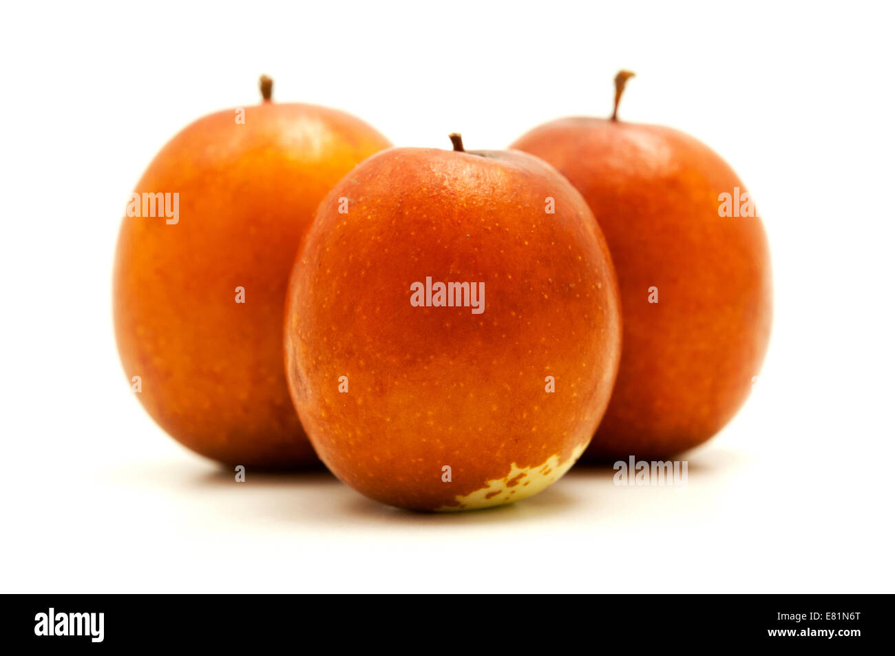 Chinese jujube ziziphus jujuba Banque de photographies et d’images à ...