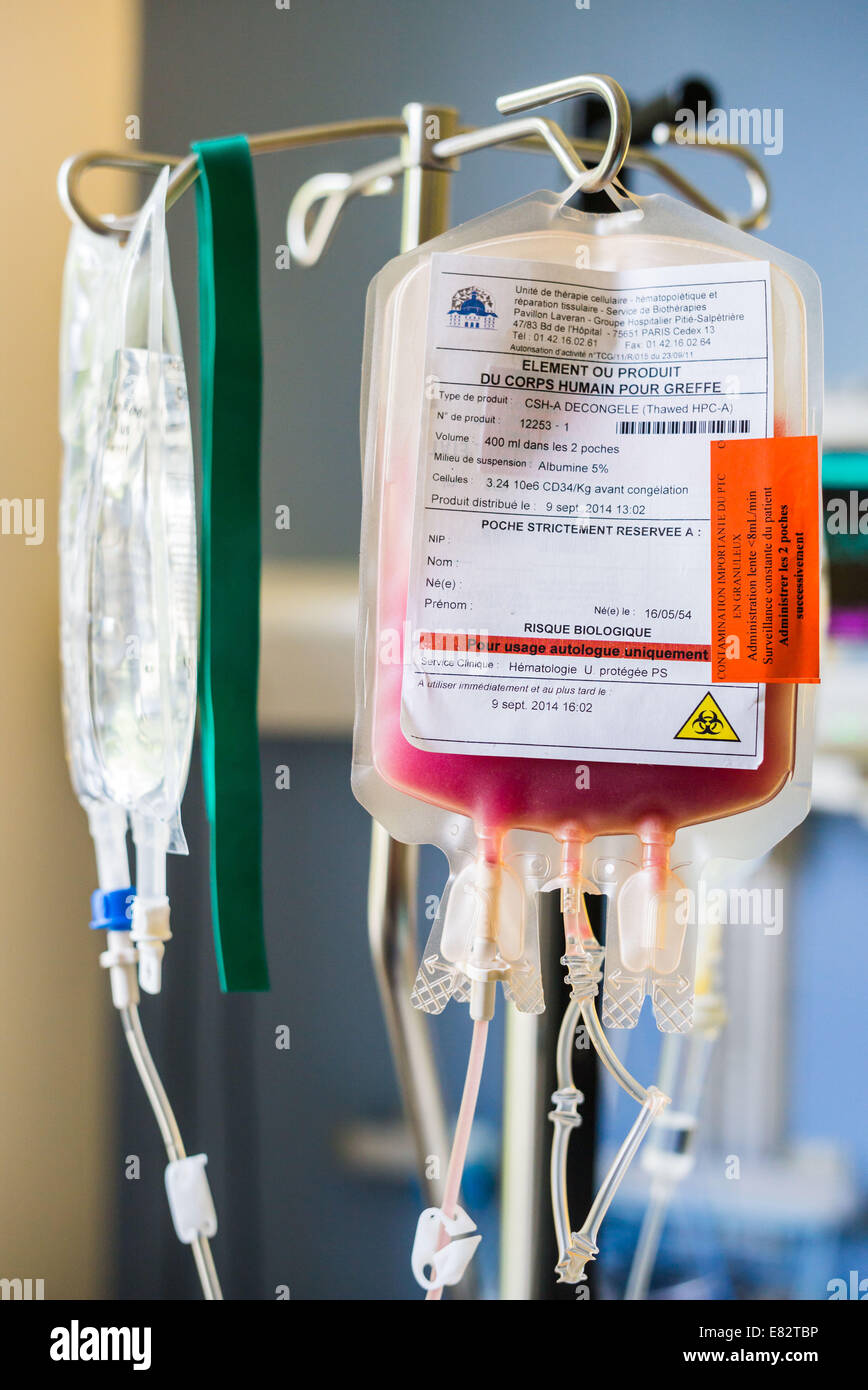 Autogreffe de moelle osseuse, Hôpital de La Pitié-Salpétrière, France ...