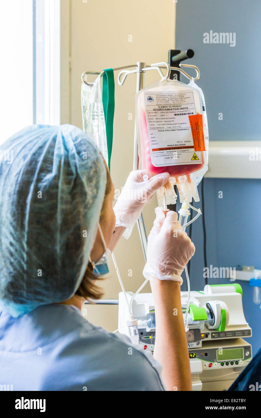 Autogreffe de moelle osseuse, Hôpital de La Pitié-Salpétrière, France ...