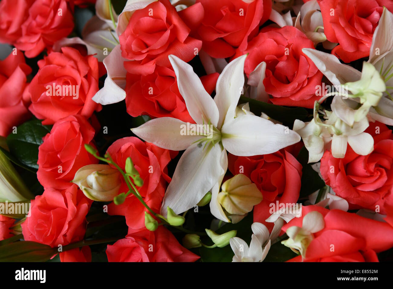 Lit de roses rouges Banque de photographies et d’images à haute ...
