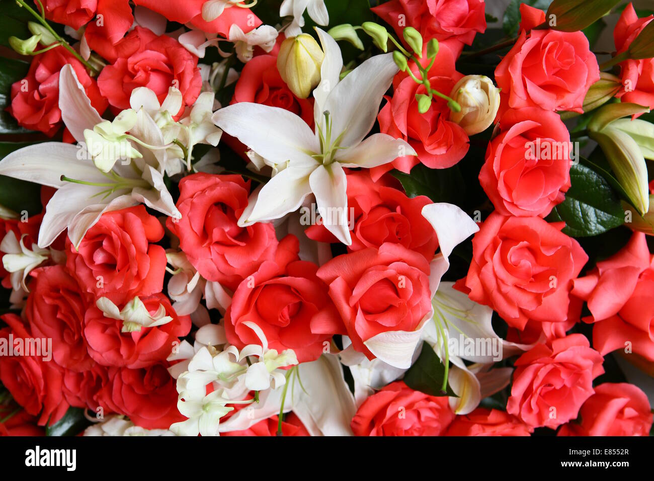 Bouquet white lilies red roses Banque de photographies et d’images à ...