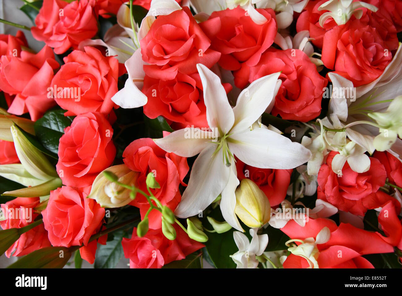 Bouquet white lilies red roses Banque de photographies et d’images à ...