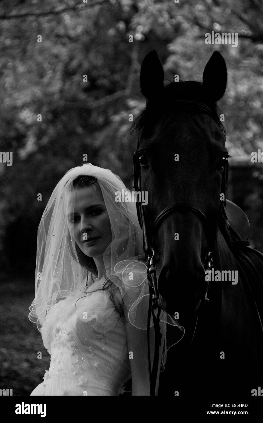 Femme menant un cheval sur la bride Banque de photographies et d’images ...