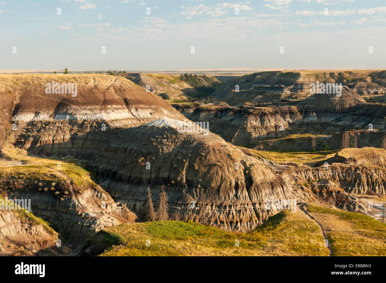 Badlands alberta Banque de photographies et d’images à haute résolution ...