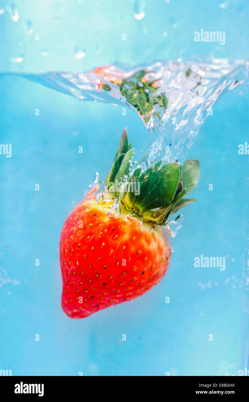 Fraise macro Banque de photographies et d’images à haute résolution - Alamy