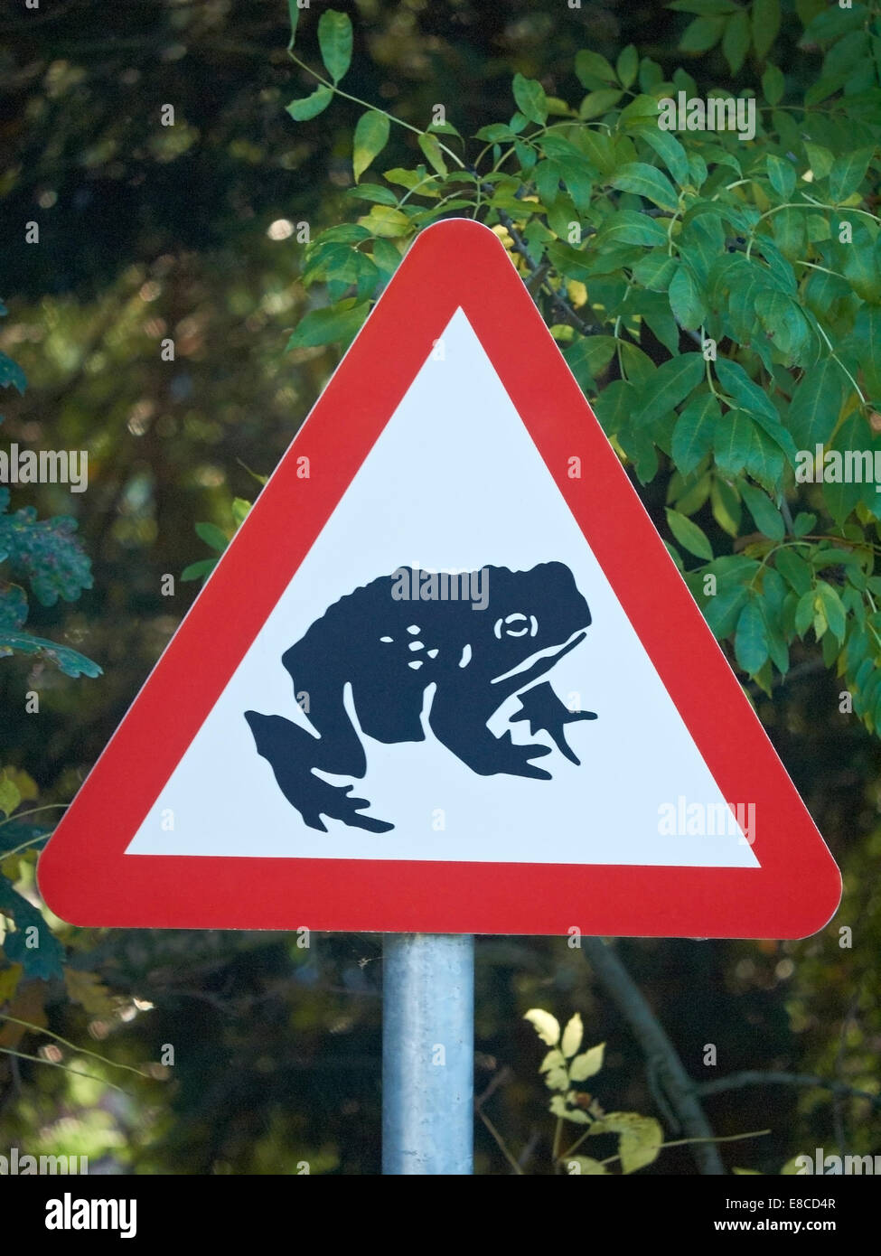 Panneau de signalisation de crapauds Banque de photographies et d ...