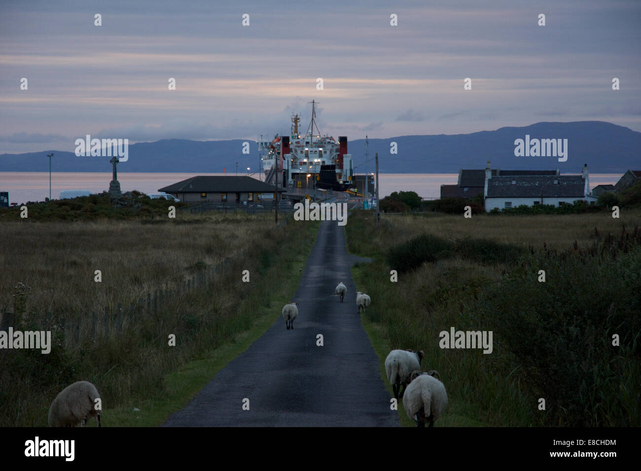Colonsay ferry Banque de photographies et d’images à haute résolution ...