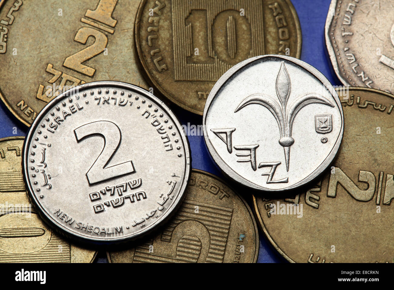 Coins d'Israël. Lily l'illustre le nouveau shekel israélien un coin et ...