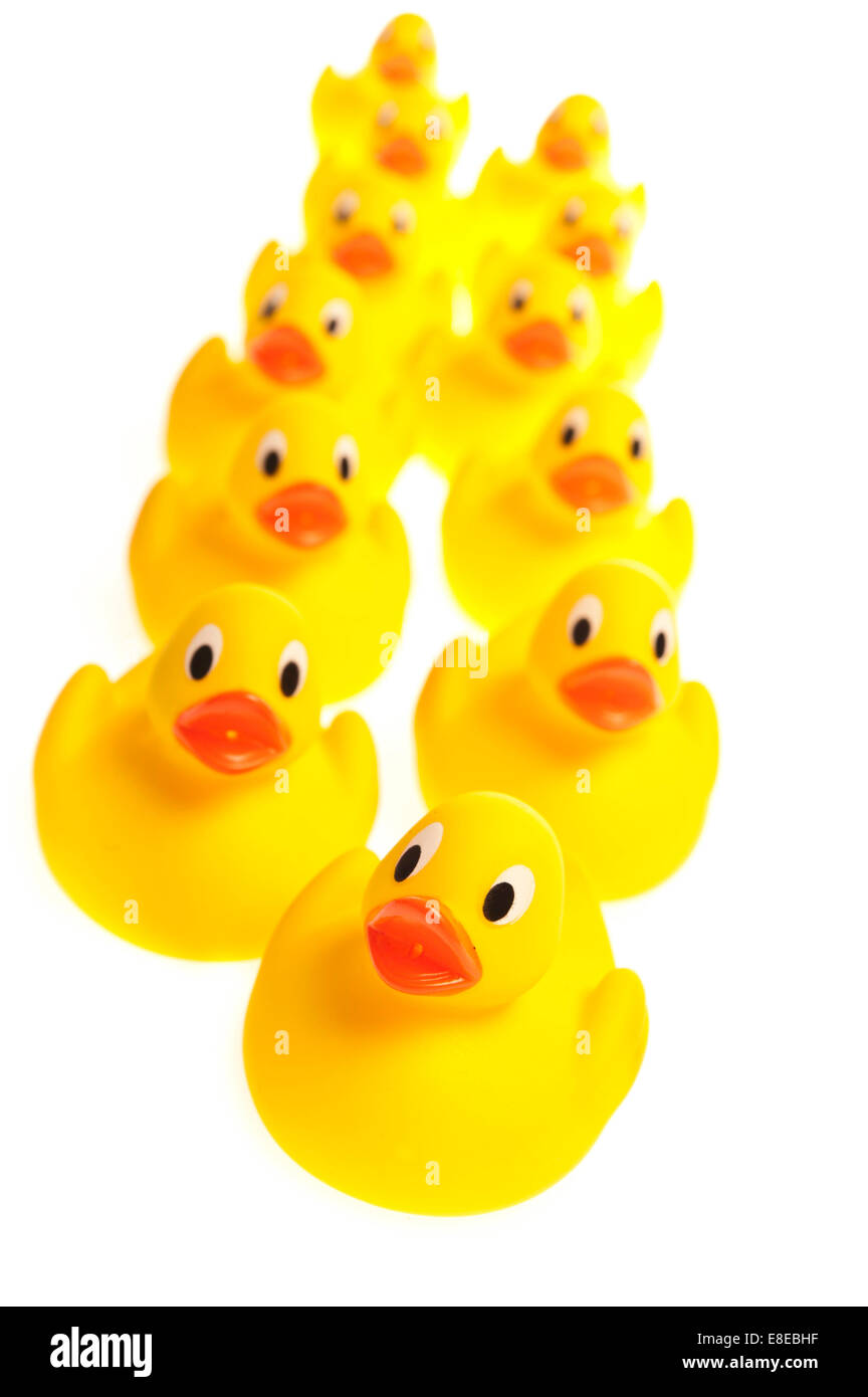 Canards jaunes Banque de photographies et d’images à haute résolution ...