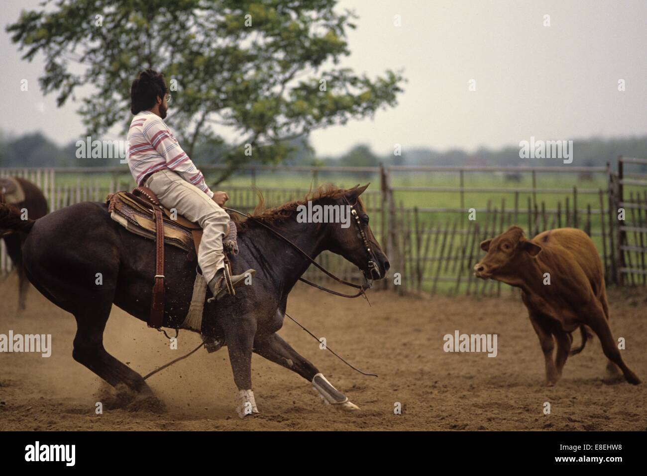 L'homme sur le cheval Banque d'image et photos - Alamy