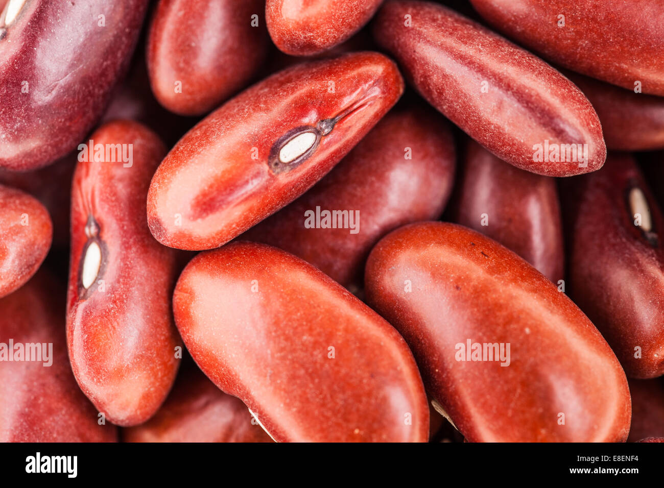 Gros haricots Banque de photographies et d’images à haute résolution ...