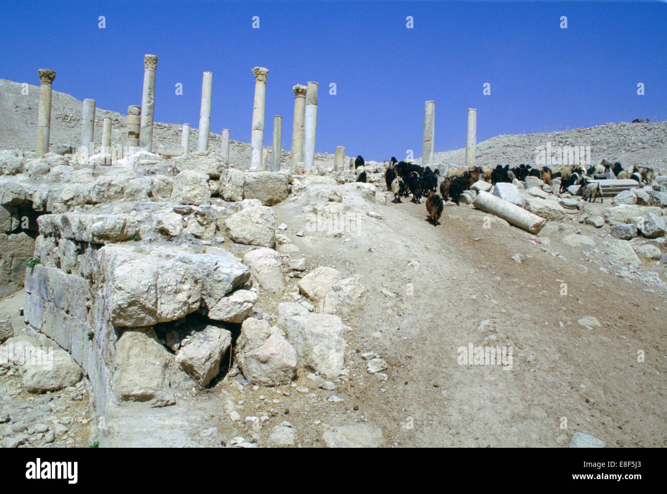 Ruines de pella Banque de photographies et d’images à haute résolution ...