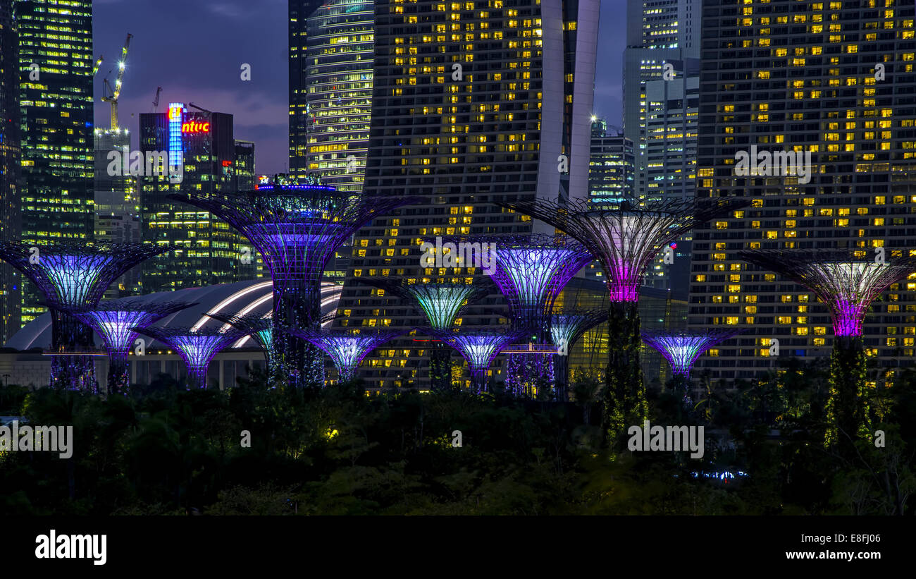 Supertrees gardens bay Banque de photographies et d’images à haute ...