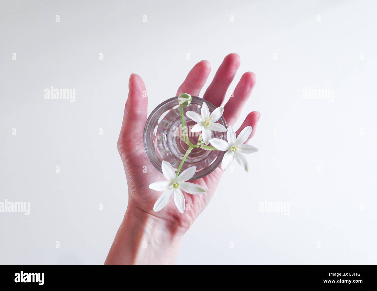 Femme tenant une fleur dans sa main Banque de photographies et d’images ...