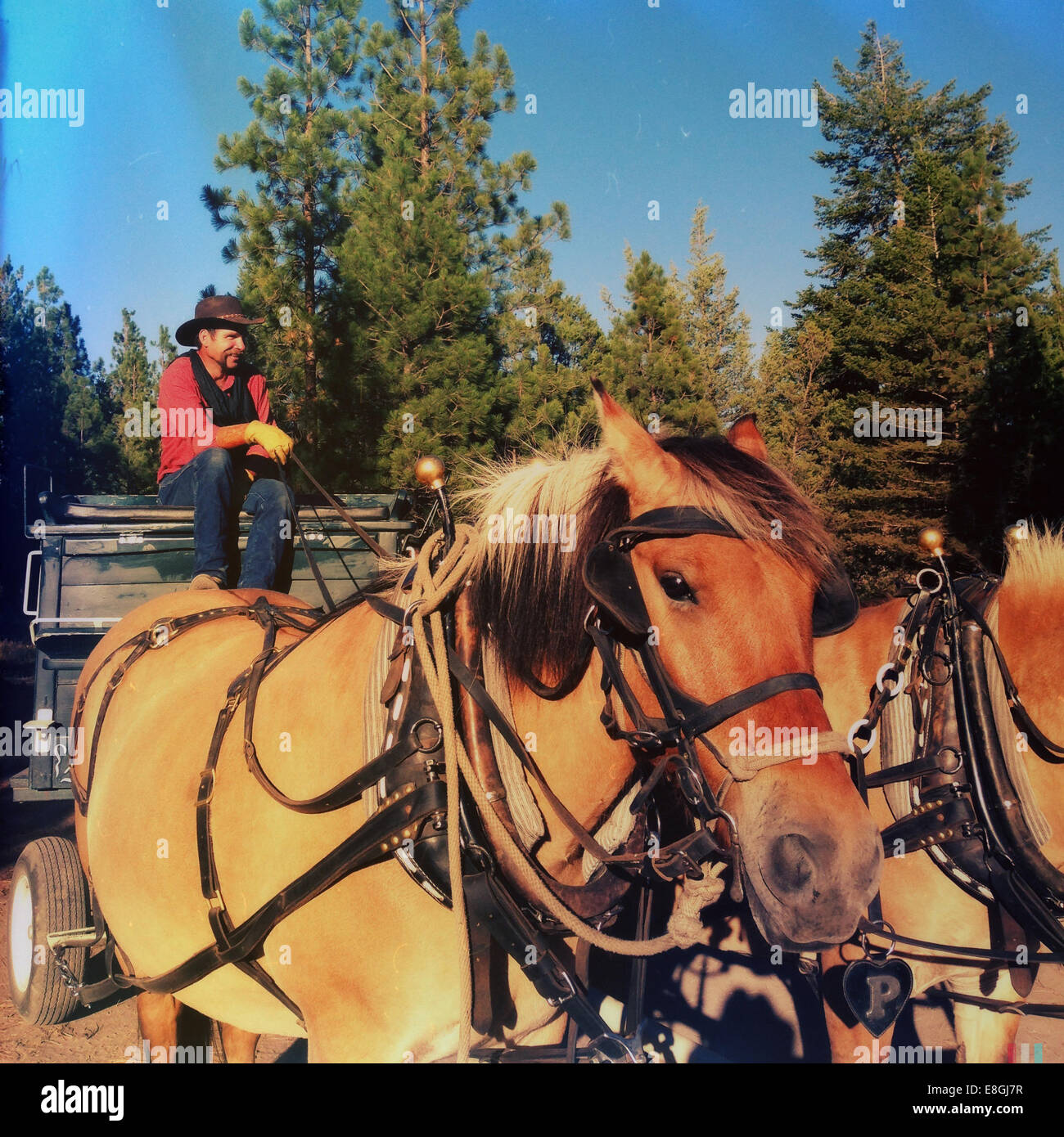 Cow Boy De Travail Banque d'image et photos - Alamy