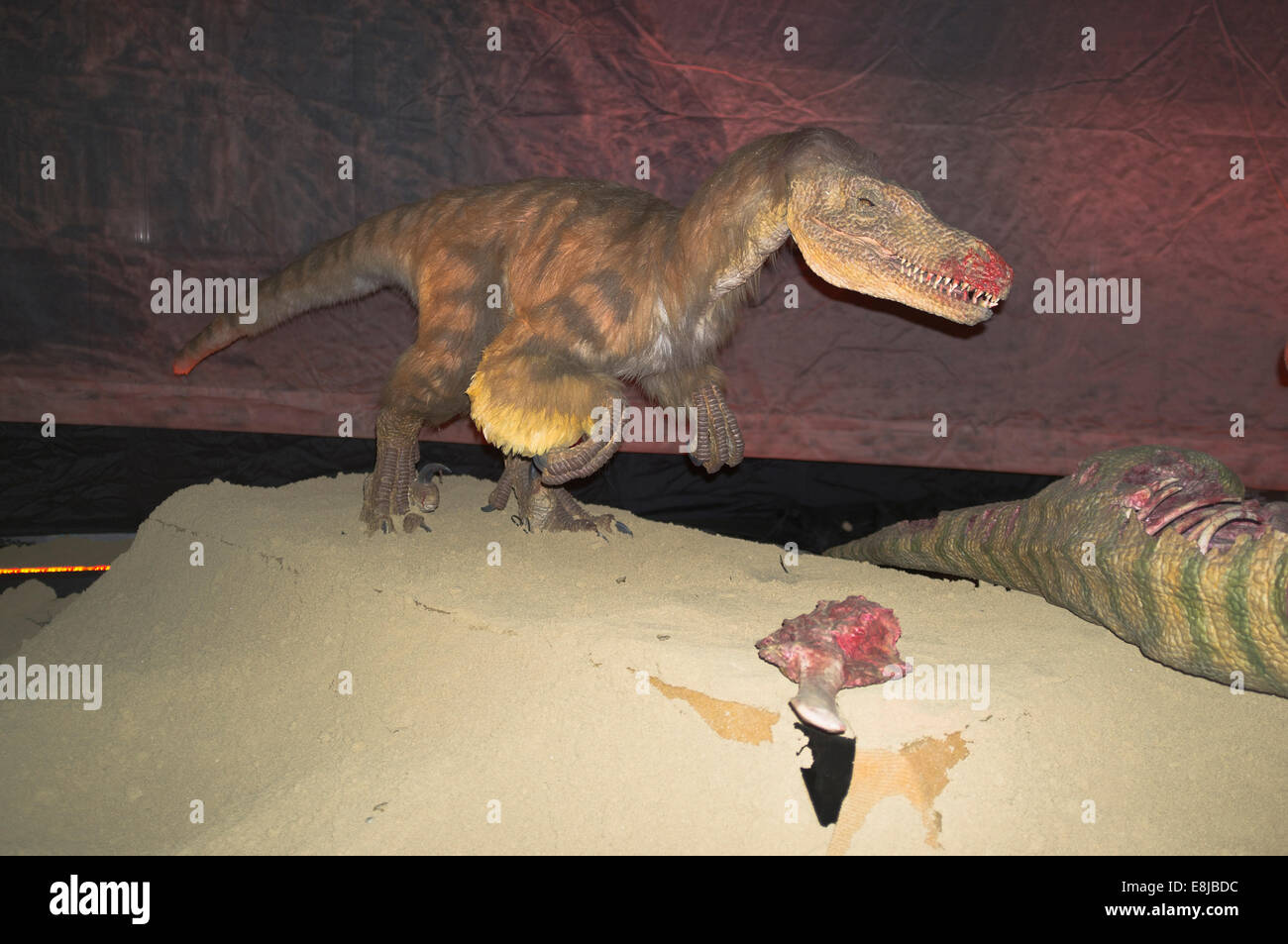 Animal préhistorique Banque de photographies et d’images à haute résolution - Alamy