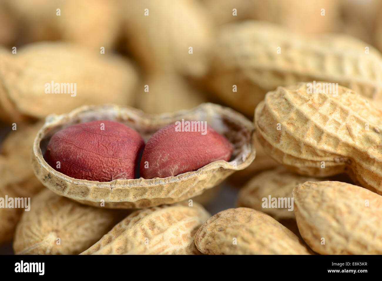 Graine d'arachide Banque de photographies et d’images à haute ...