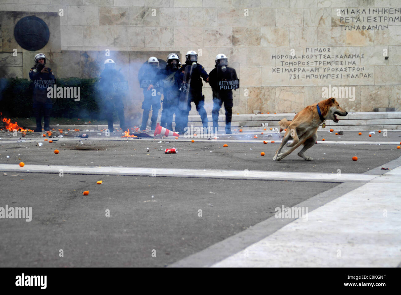 Loukanikos greek riot dog Banque de photographies et d’images à haute ...