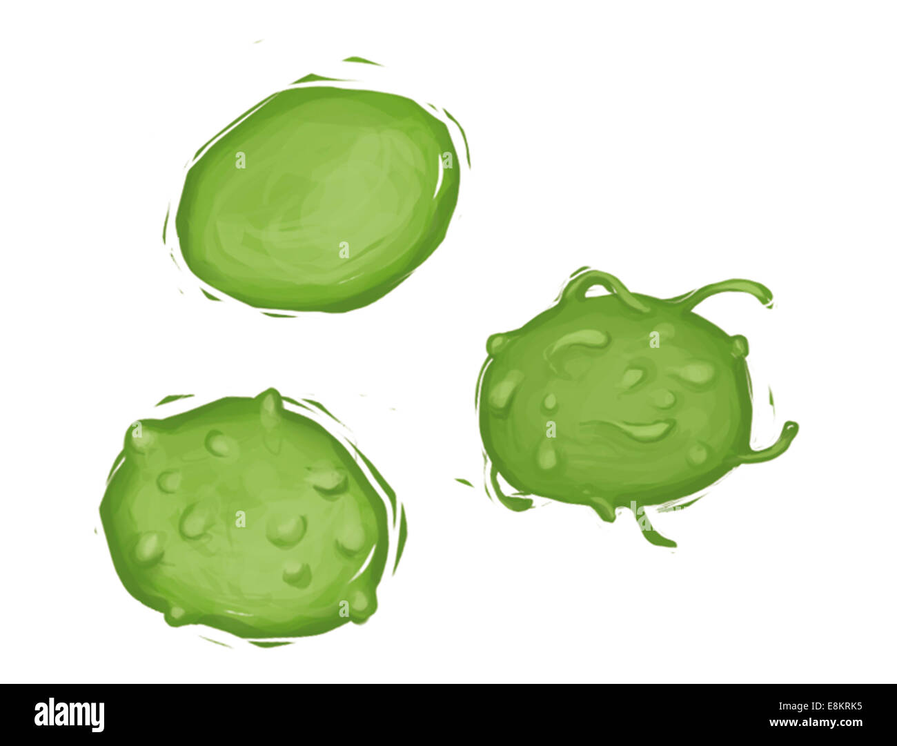 Plaquettes sanguines Banque de photographies et d’images à haute ...