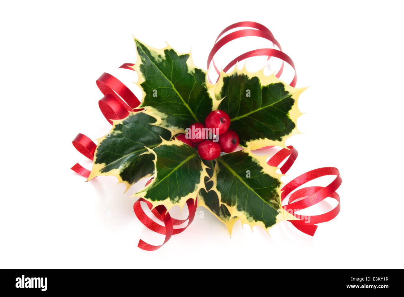 Houx de noël Banque d'images détourées - Alamy