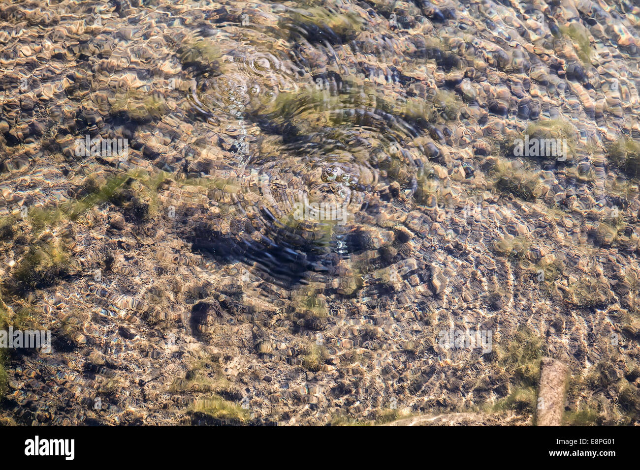 Gas bubble Banque de photographies et d’images à haute résolution - Alamy