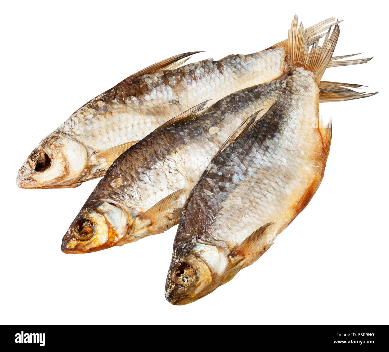 Poisson sec Banque de photographies et d’images à haute résolution - Alamy