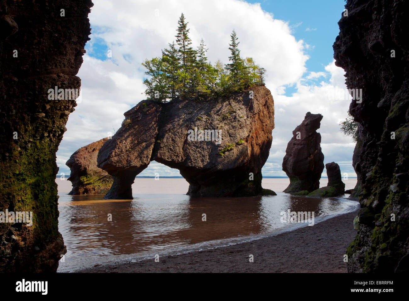 - Les rochers Hopewell Rocks - Parc provincial Hopewell Cape (Nouveau ...