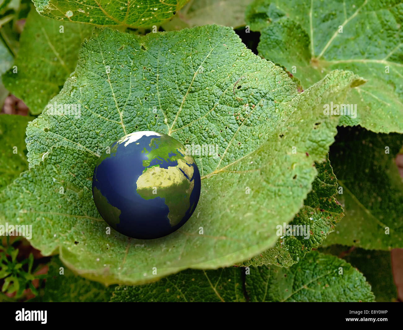 Earth protection Banque de photographies et d’images à haute résolution ...