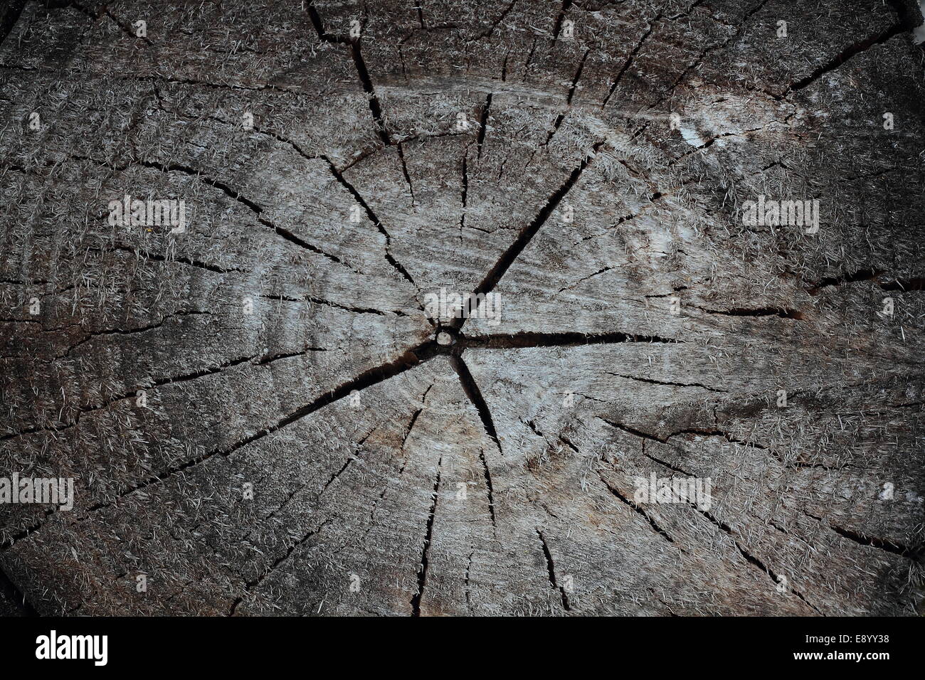 Journal fin Banque de photographies et d’images à haute résolution - Alamy