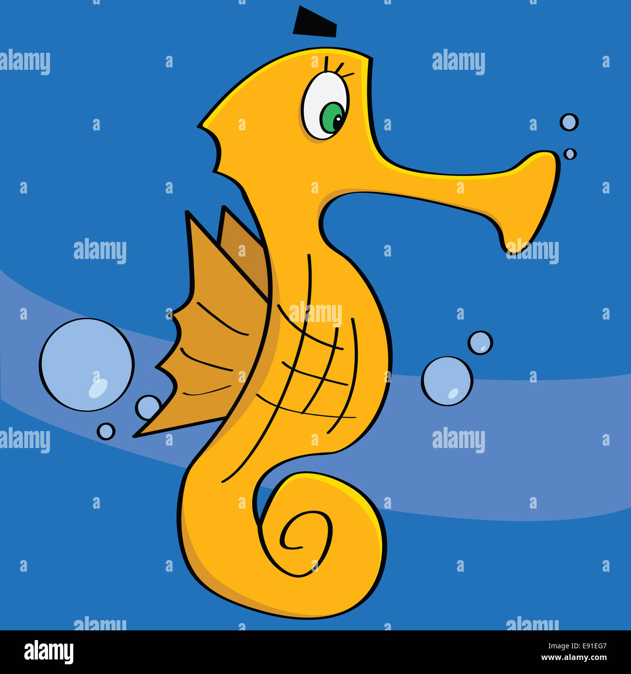 Cheval de mer mignon Banque de photographies et d’images à haute ...