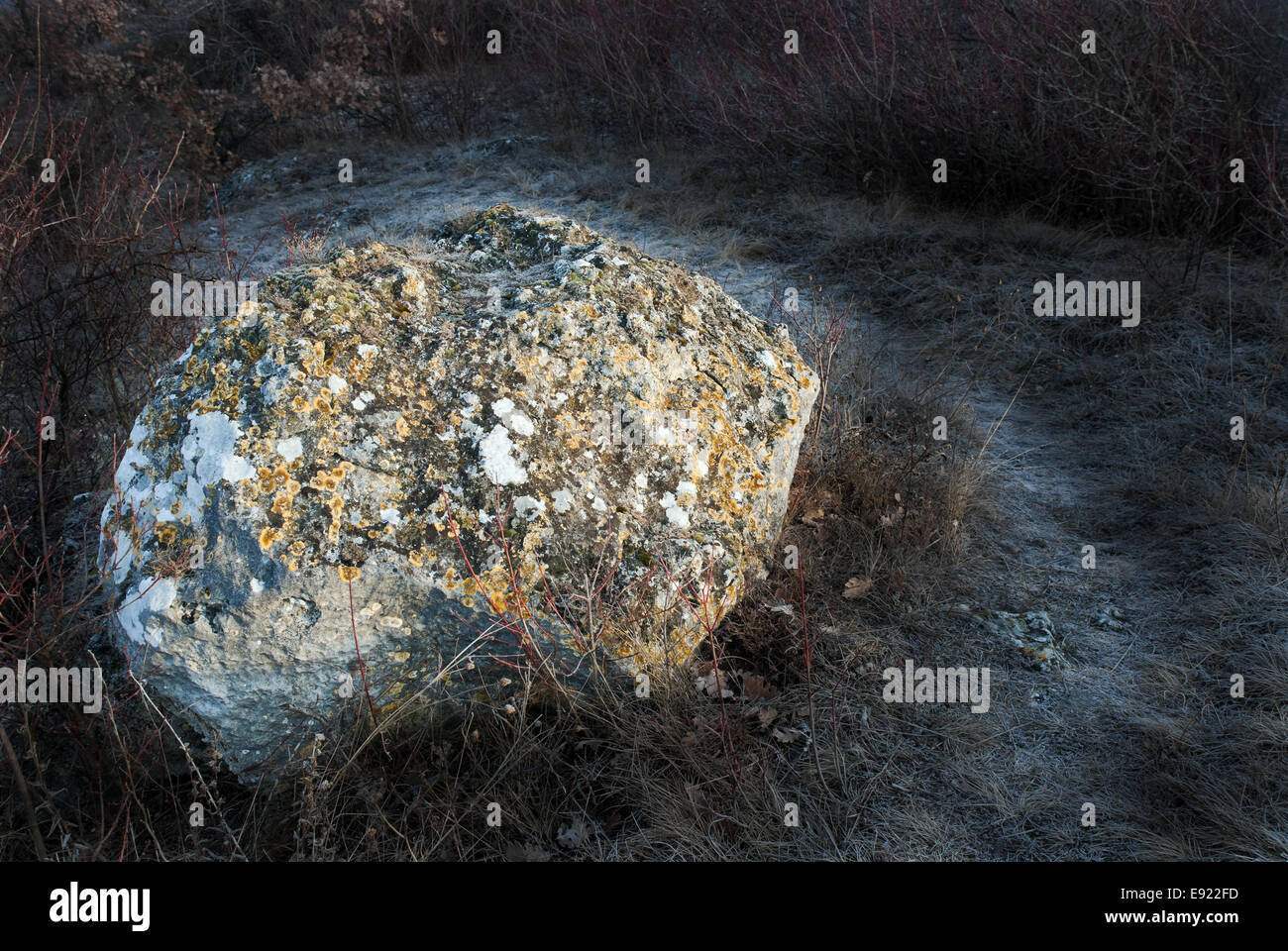 L'obstacle est le chemin Banque de photographies et d’images à haute ...