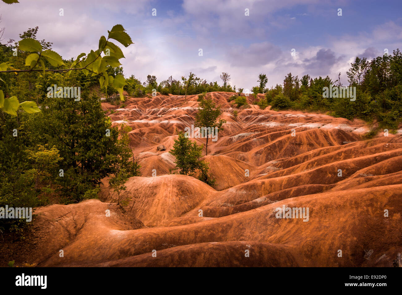 Oxyde de fer Banque de photographies et d’images à haute résolution - Alamy