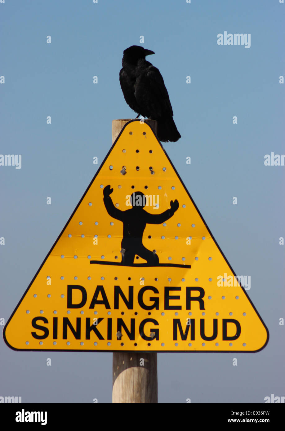 Bird sitting on sign Banque de photographies et d’images à haute ...