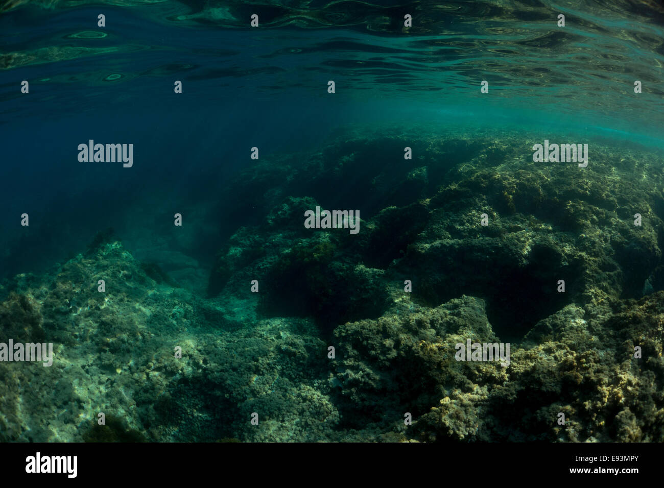 Paysage sous-marin de la Méditerranée en Mini Trou Bleu, Zonqor Point ...