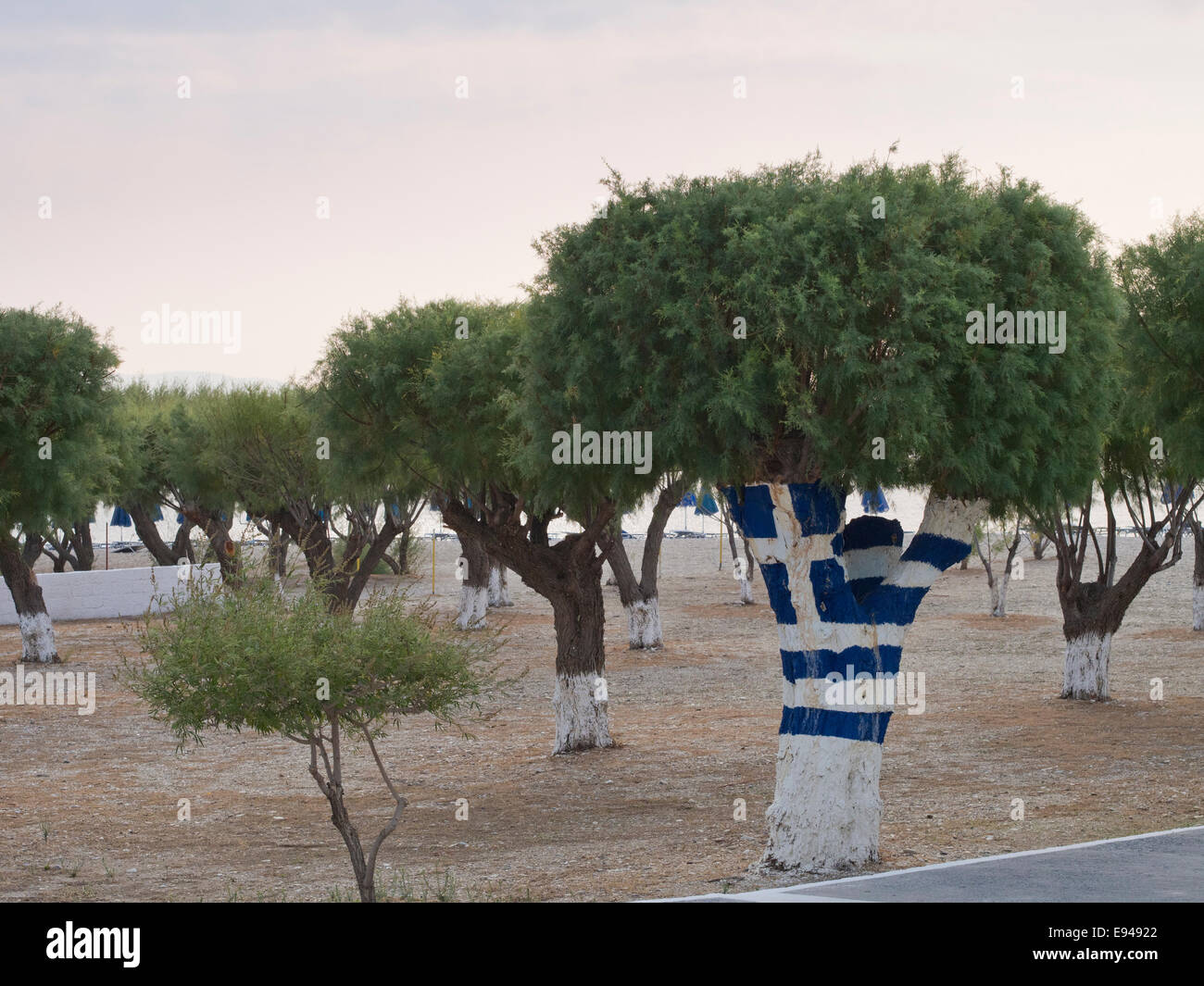 Drapeau sur un arbre Banque de photographies et d’images à haute ...