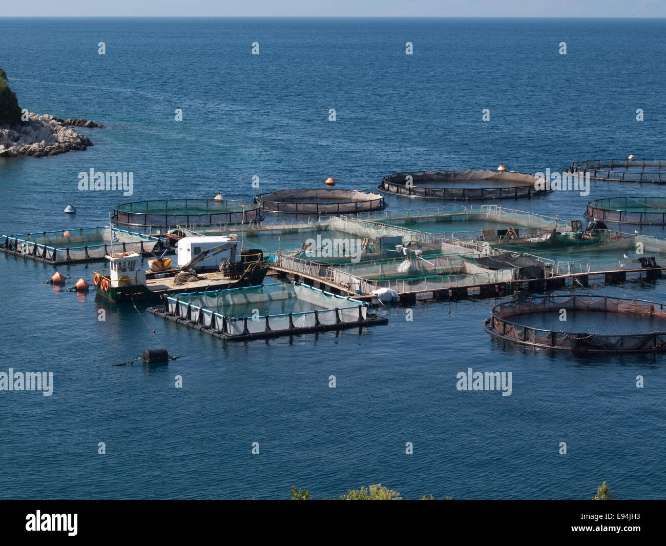 Fish farming corfu greece Banque de photographies et d’images à haute ...
