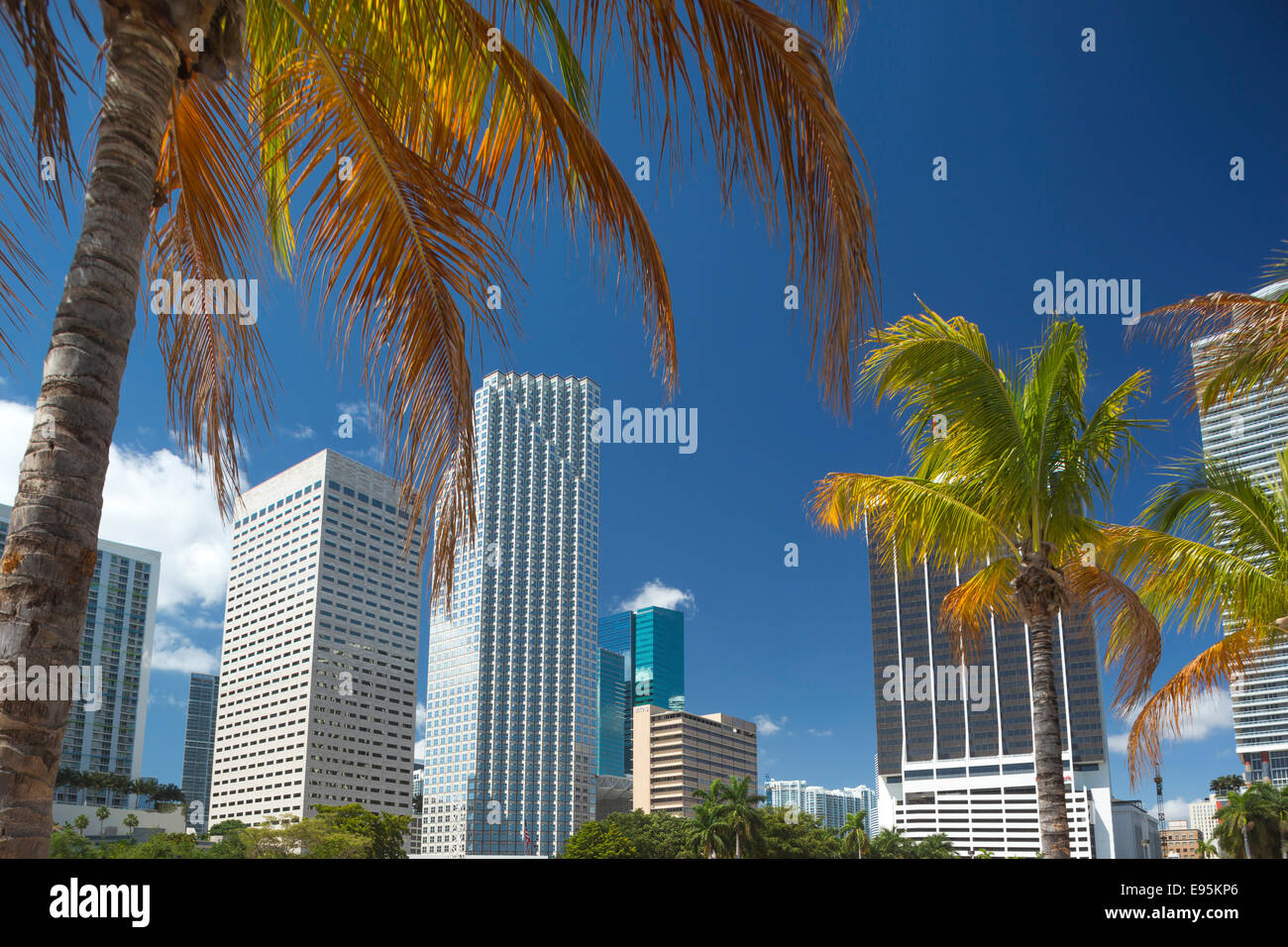 Skyline miami downtown et bayfront park Banque de photographies et d ...