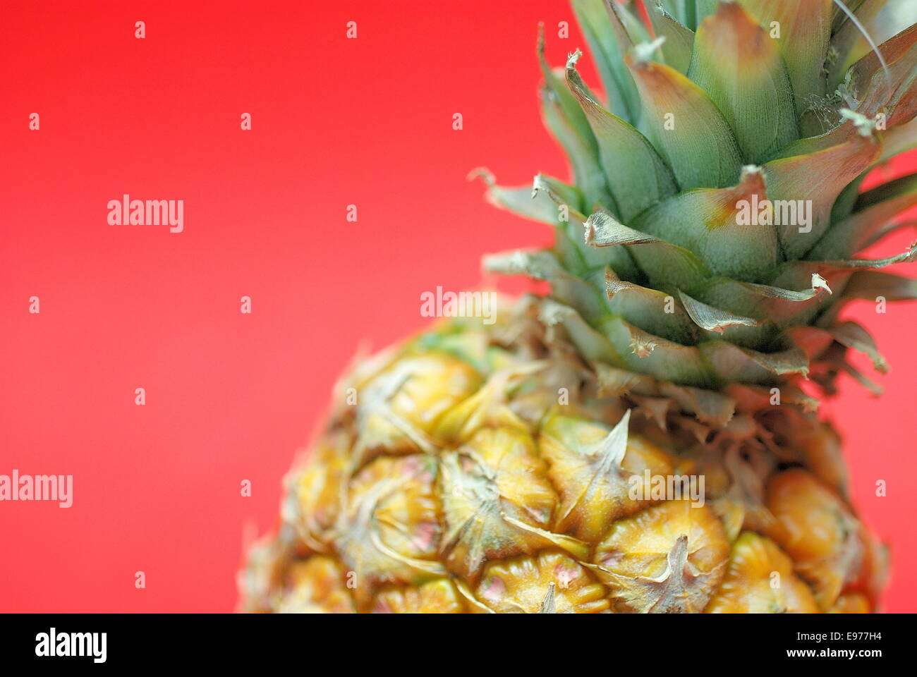 Ananas rouge Banque de photographies et d’images à haute résolution - Alamy