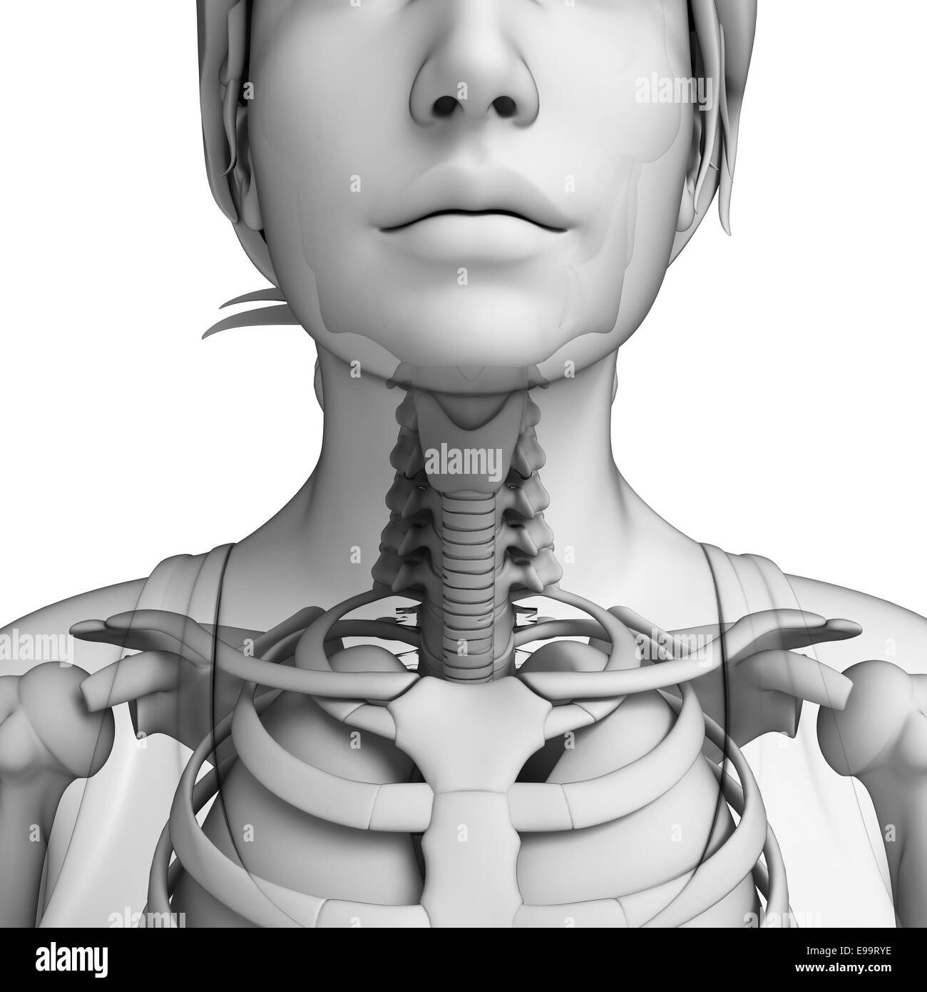 Gorge humaine Banque d'images noir et blanc - Alamy