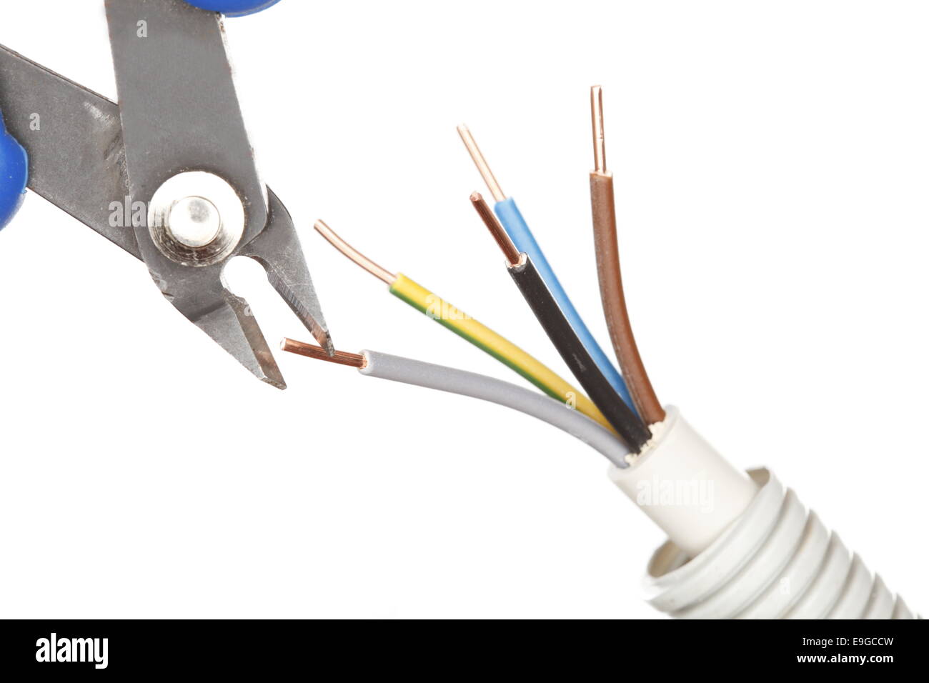 Electrical cable cutting Banque de photographies et d’images à haute ...