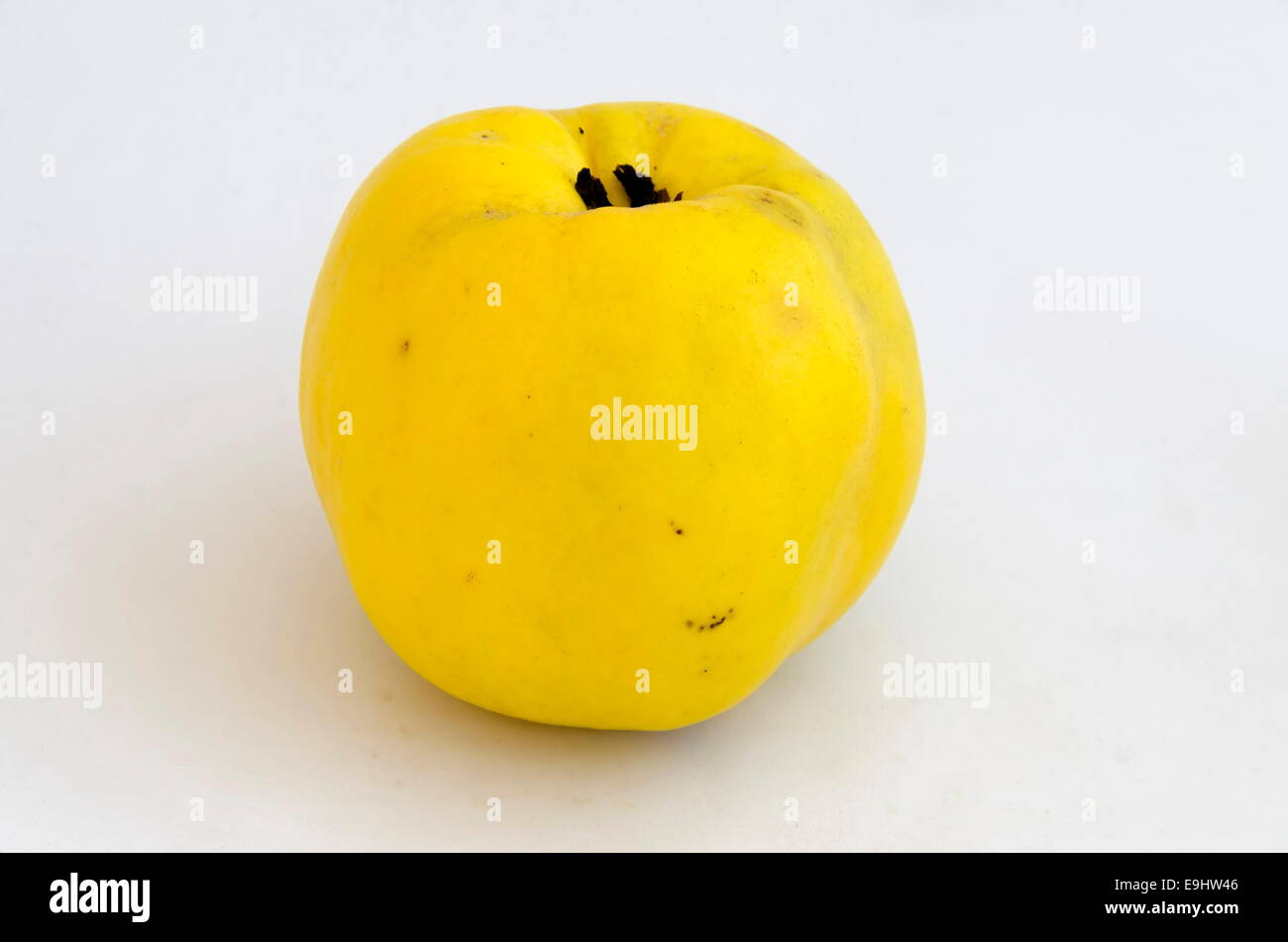 Fruit de coing Banque de photographies et d’images à haute résolution ...