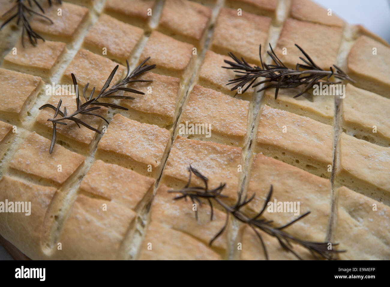 Romarin séché Banque de photographies et d’images à haute résolution ...