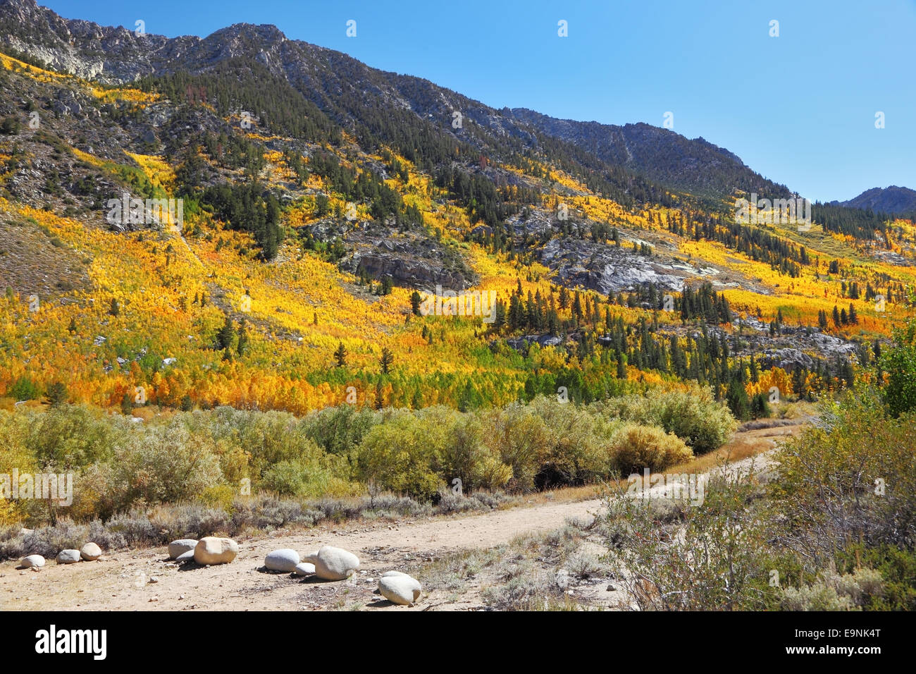 Arbustes d'automne Banque de photographies et d’images à haute ...